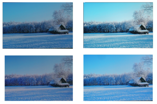 Fairphone 5 Display test - DXOMARK