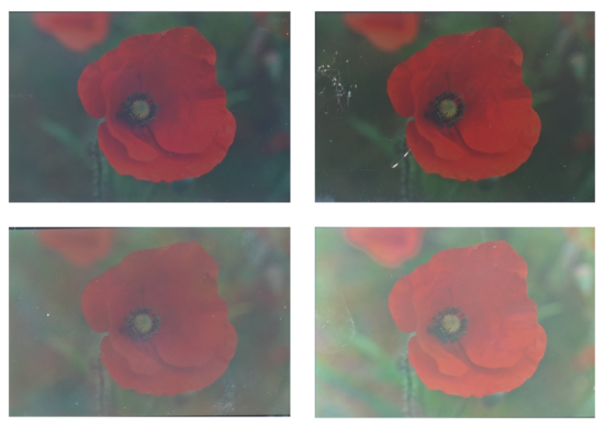 Fairphone 5 Display test - DXOMARK