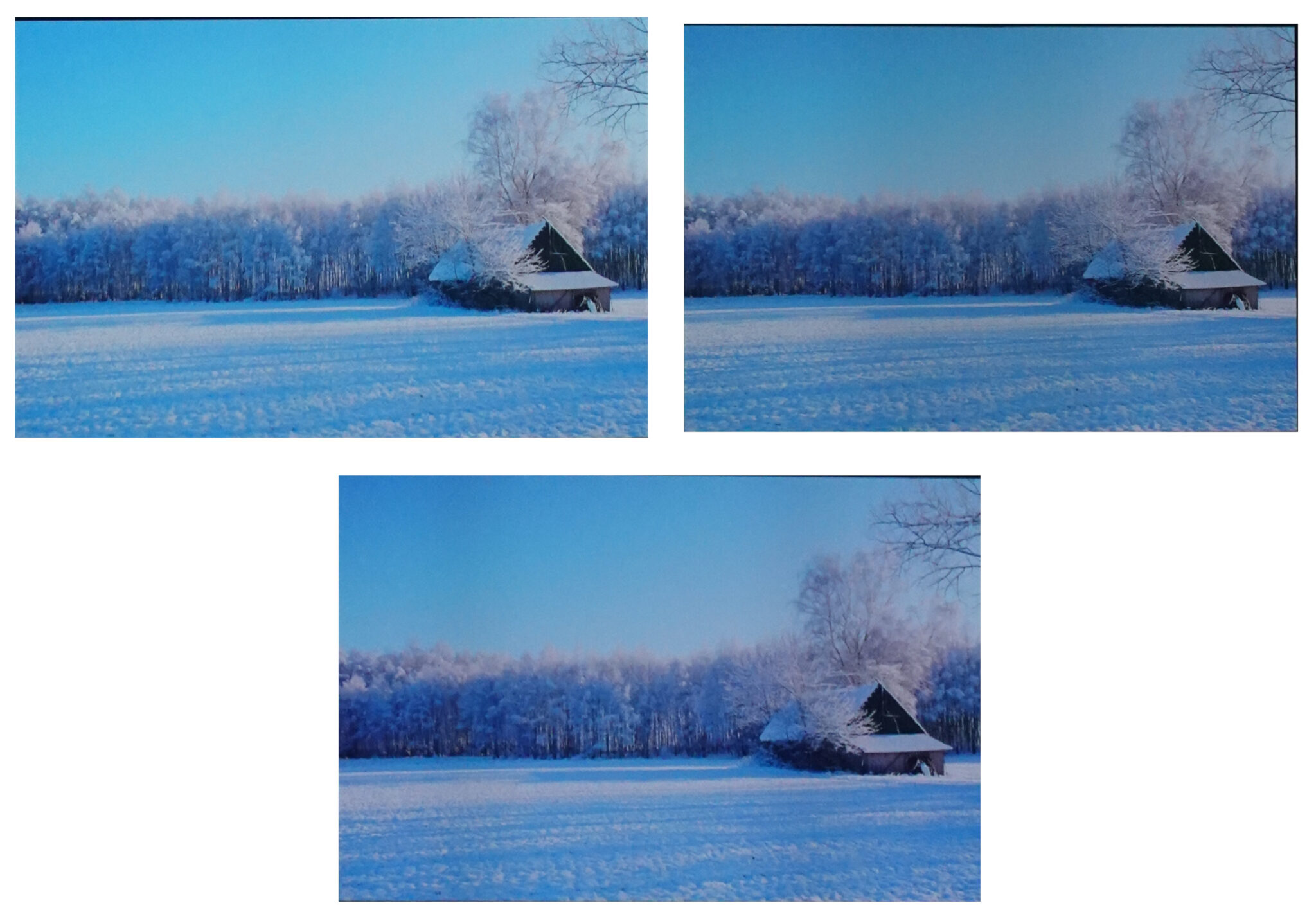 Motorola Razr 40 Ultra Display test - DXOMARK