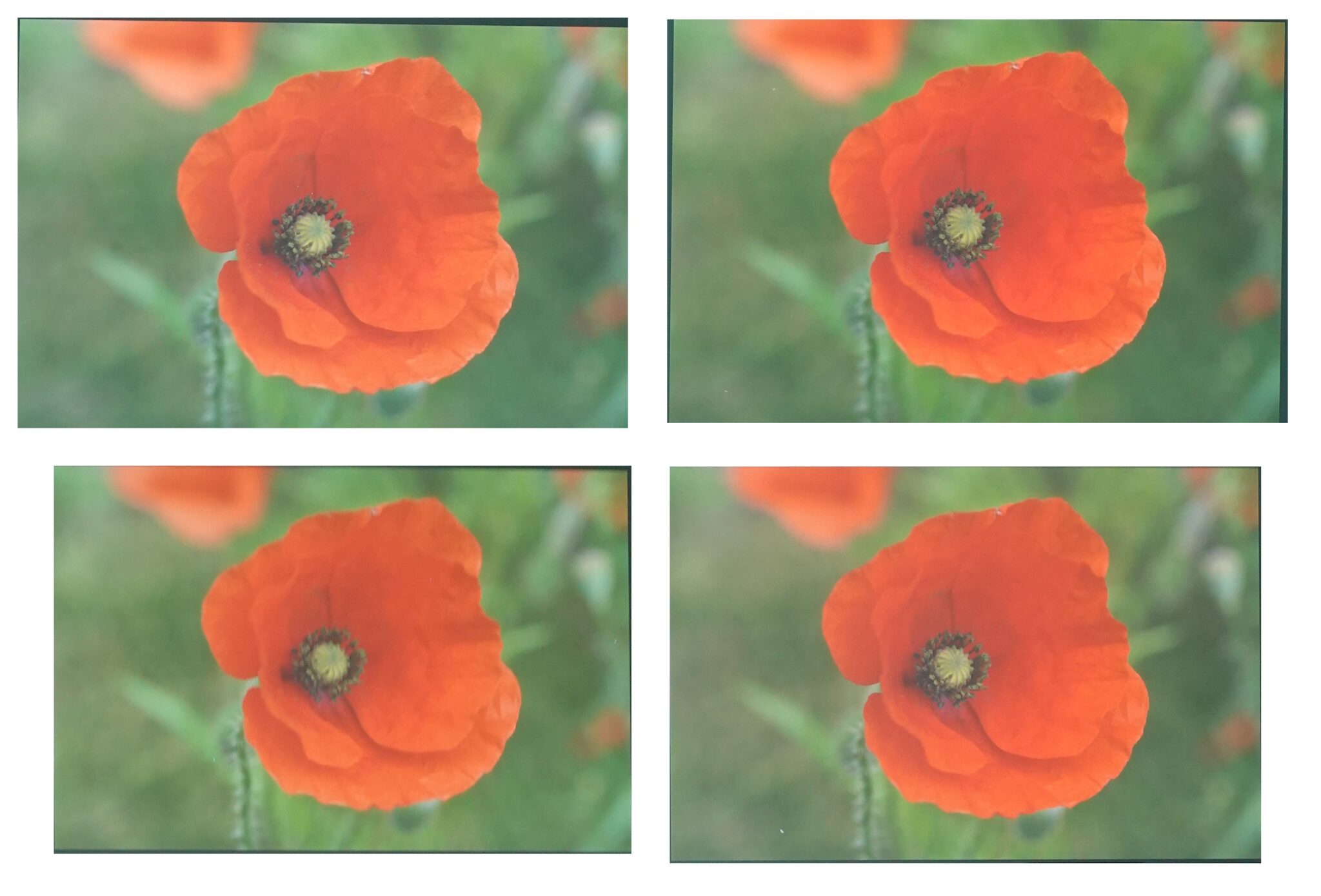 Nothing Phone (2) Display test - DXOMARK