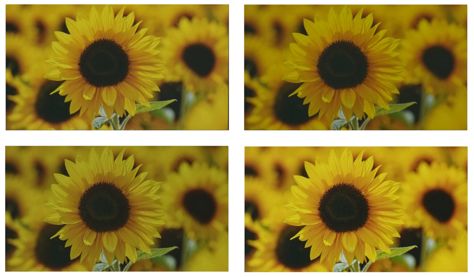 Google Pixel 8 Pro Display test - DXOMARK