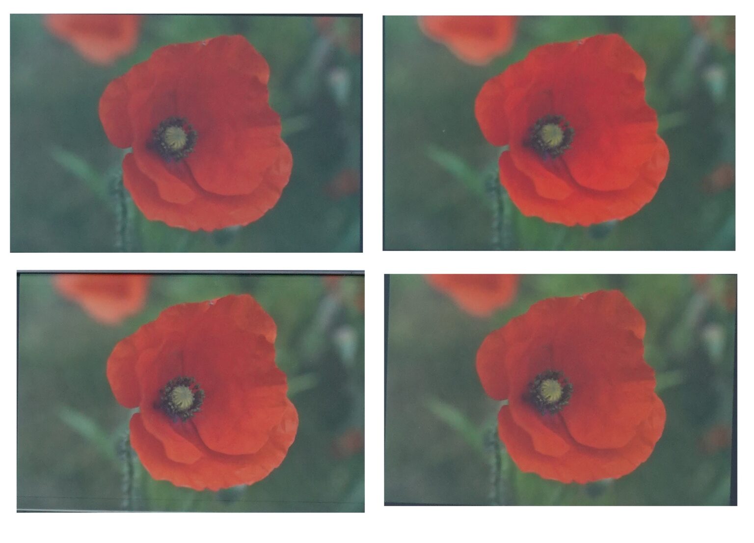 Samsung Galaxy A55 5G Display test - DXOMARK