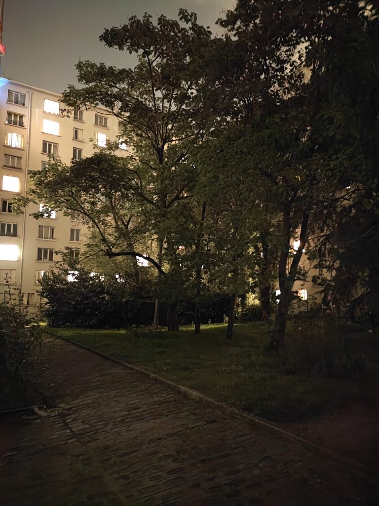 Xiaomi Mi 11 Pro Camera review: Class-leading performer - DXOMARK