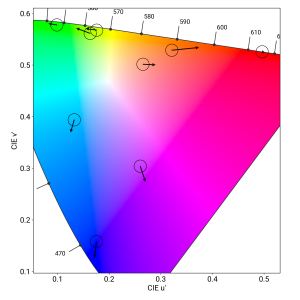 Motorola Edge 20 Pro Display review: Excellent touch - DXOMARK