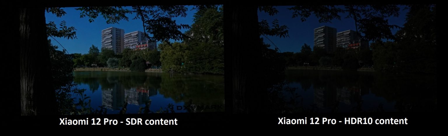 Xiaomi 12 Pro Display test - DXOMARK