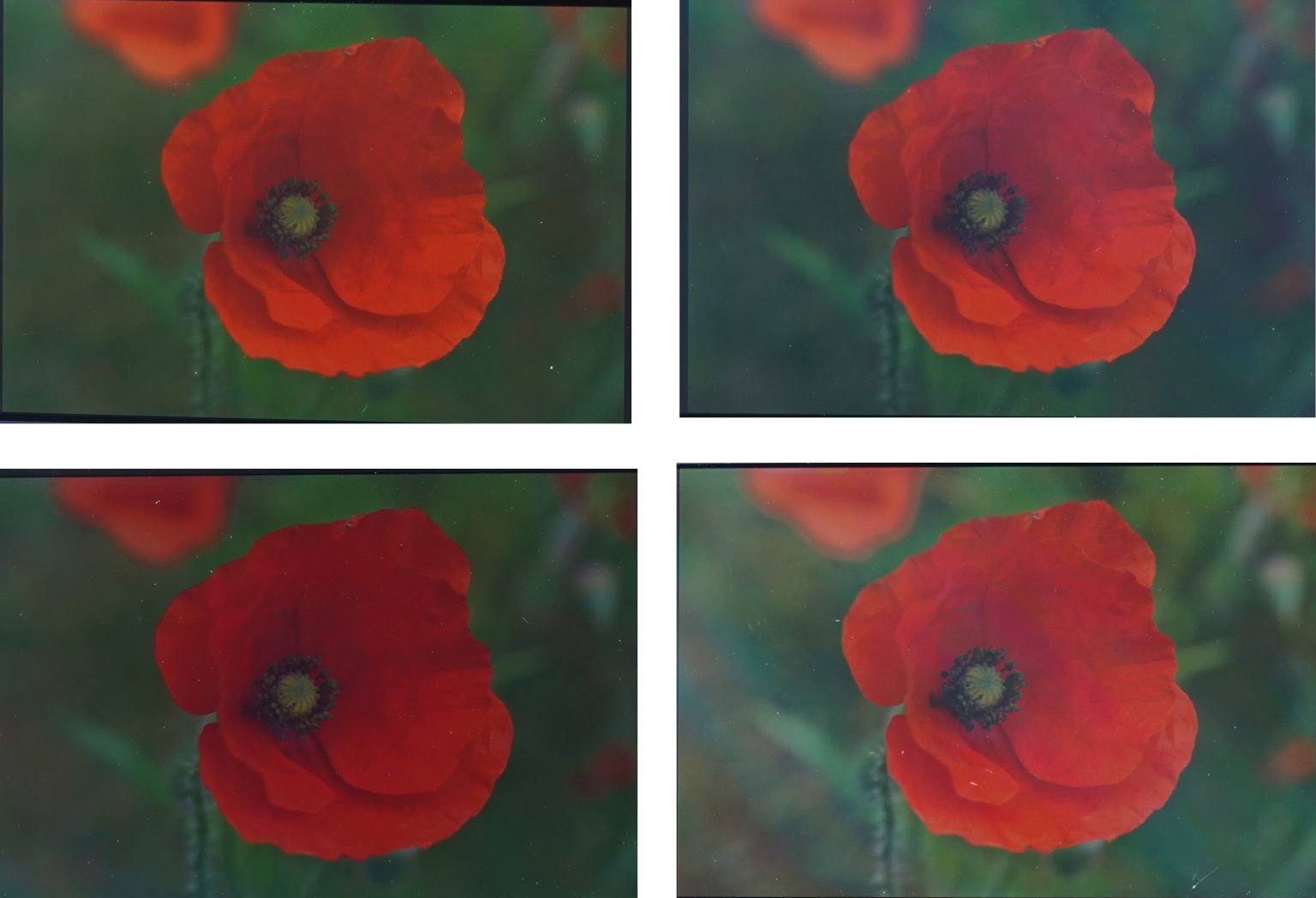 Samsung Galaxy A53 5G Display test - DXOMARK