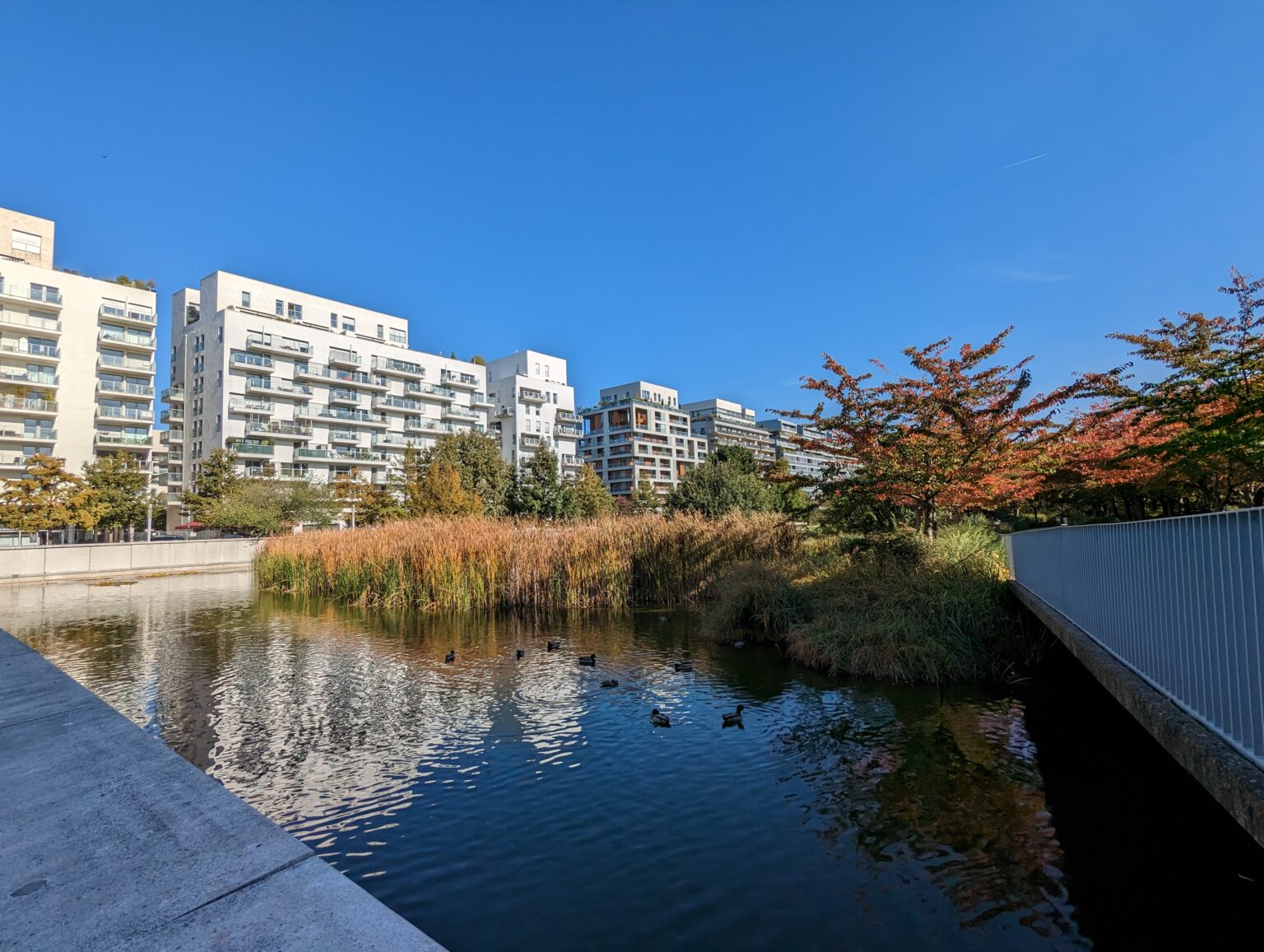 Google Pixel 7 Camera test - DXOMARK