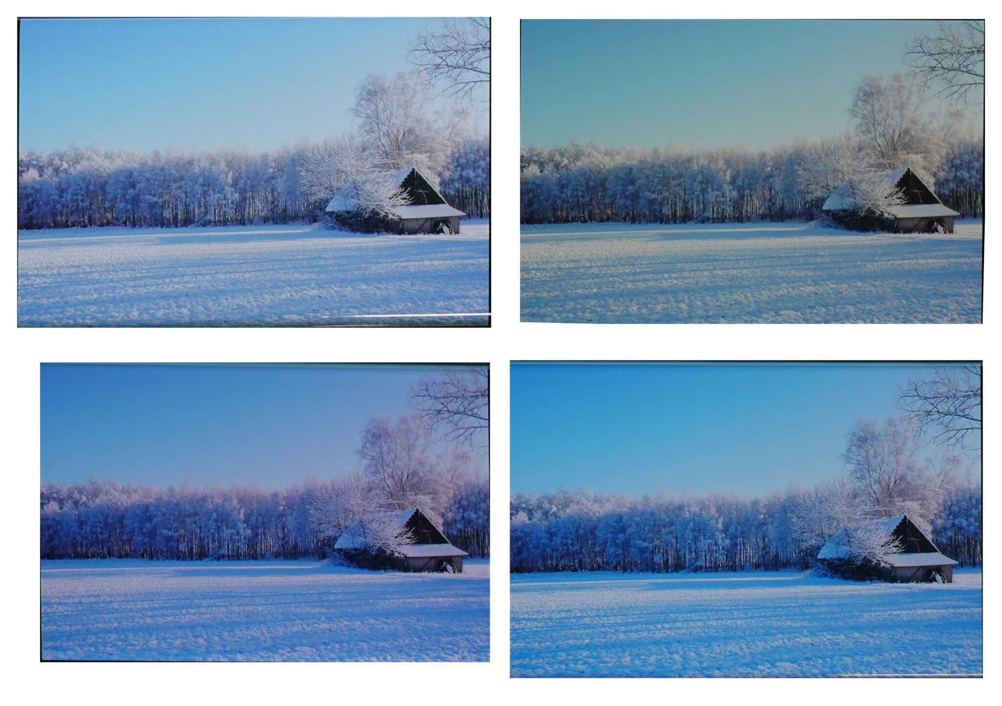 Huawei Mate 50 Pro Display test - DXOMARK