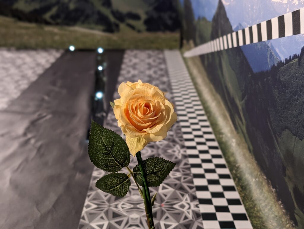 Google Pixel 8 Camera test - DXOMARK