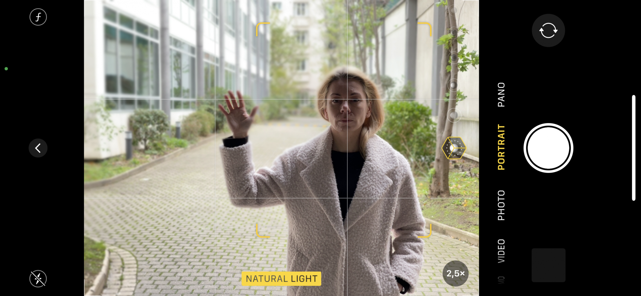 Apple iPhone 12 Pro Max Camera review: Big and beautiful