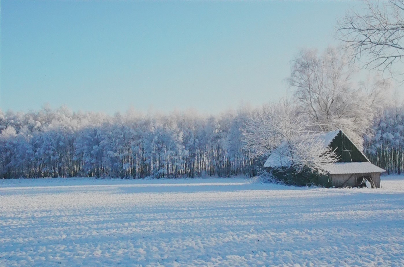 Apple iPhone 12 Display review: Familiar in its user friendliness - DXOMARK