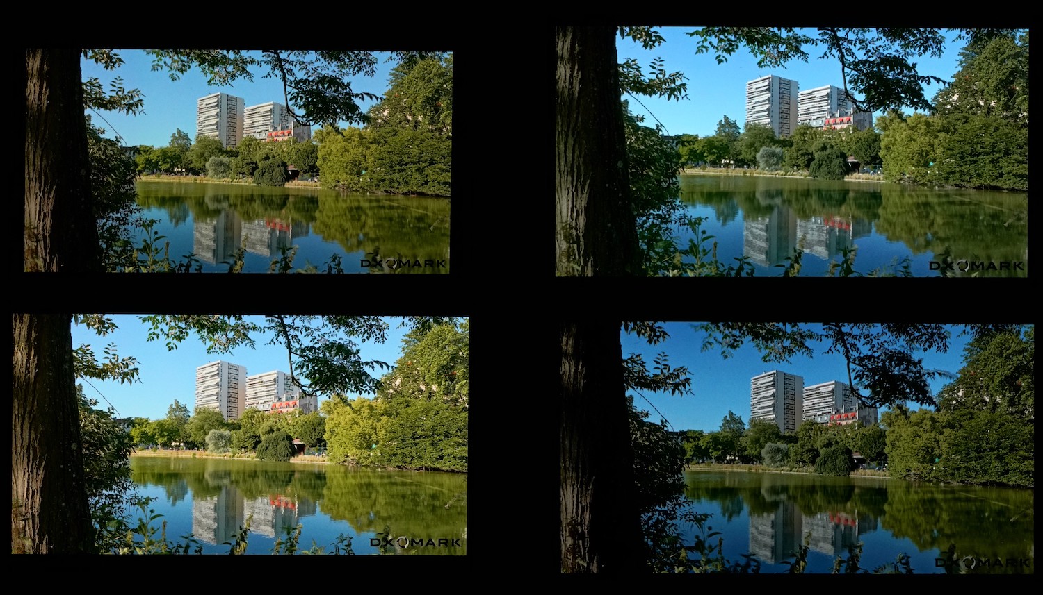 Apple iPhone 12 Display review: Familiar in its user friendliness - DXOMARK