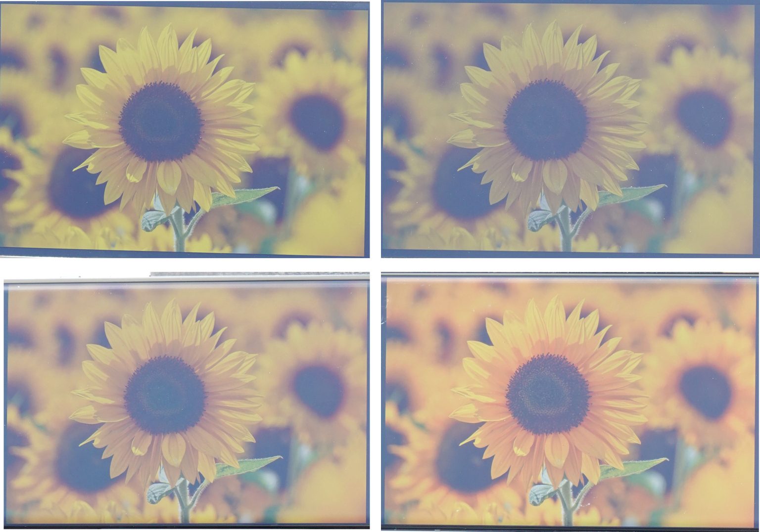 Apple iPhone 13 Pro Max Display review: Simply stunning - DXOMARK