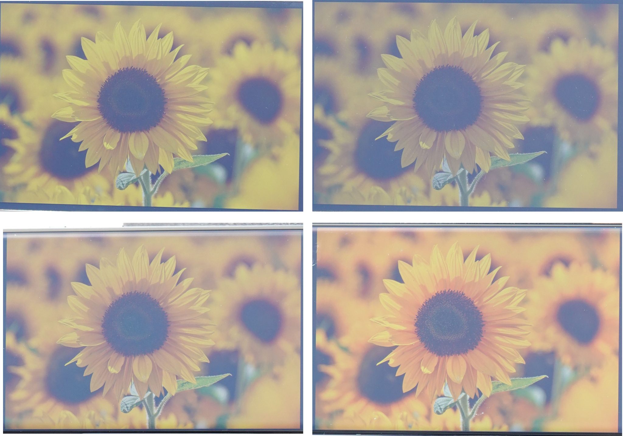 Apple iPhone 13 Pro Max Display review: Simply stunning - DXOMARK